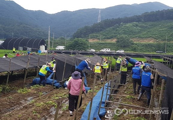 옥천군, 수해복구 구슬땀...일상 복귀 큰몫