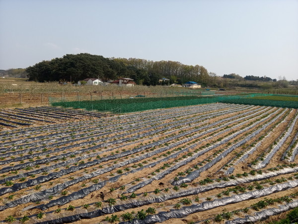 문경시, 2021년 농지이용실태조사 실시