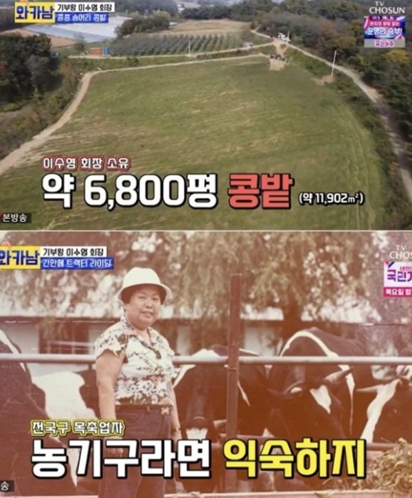 광원산업 이수영 회장, 마이너스 통장 한도에 '입이 떡'