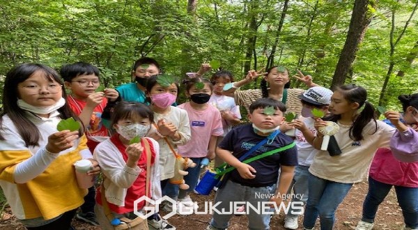 석포초등학교, 국립청옥산자연휴양림 체험활동 실시