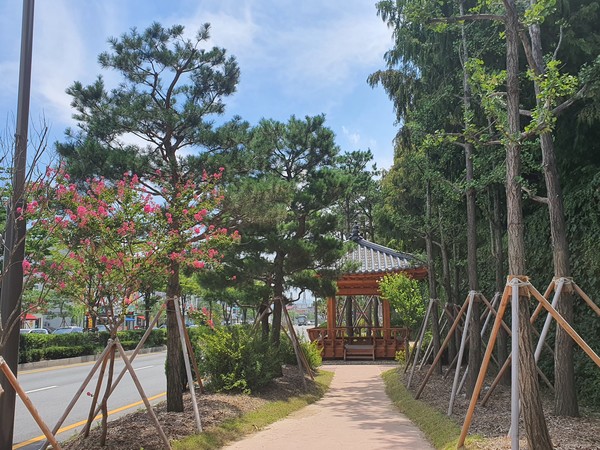 완주군 삼례 명품가로수길 '모범 도시숲' 선정