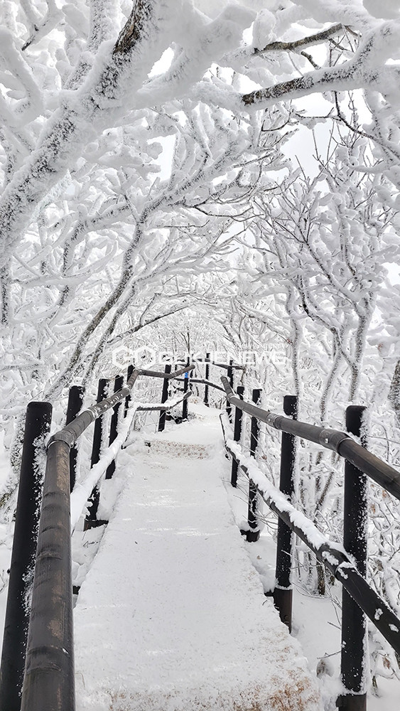 [국제포토] 겨울운치 덕유산