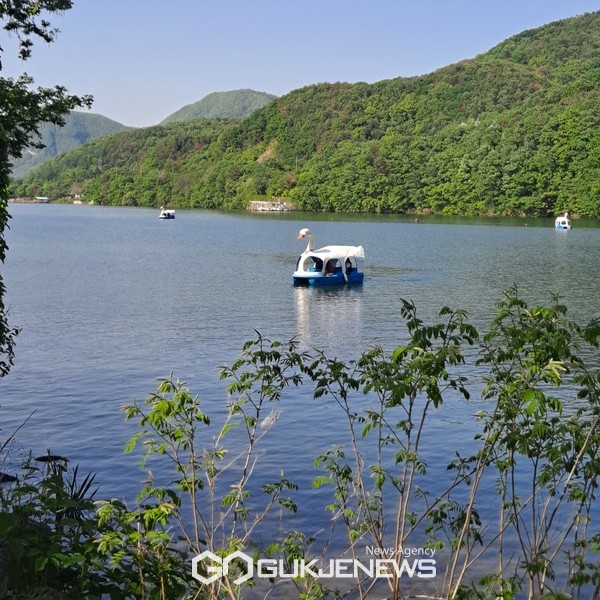 [포토] 남이섬, 크루즈 방문