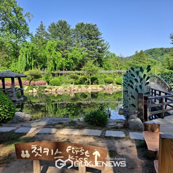 [포토] 남이섬, 크루즈 방문