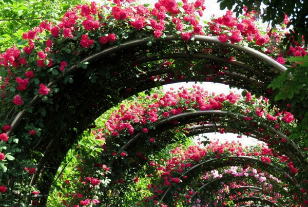 날씨, 대구32도·강릉31도 '올여름 폭염예고? 벌써 더위가' 서울날씨예보