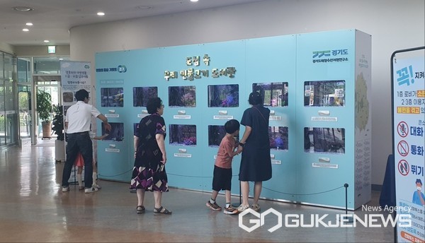 하남시 미사도서관, '도심 속 토종 민물고기 이동도서관' 운영