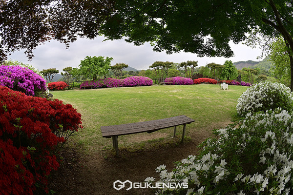 [날씨] 수도권, 일부지역 폭염특보→비 내리면서 기온 일시 하강
