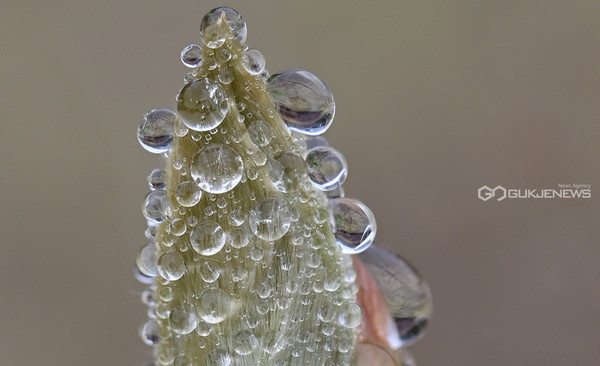 [날씨] 수도권, 오늘/내일 5~10mm 비→비 온뒤 기온 급 강하