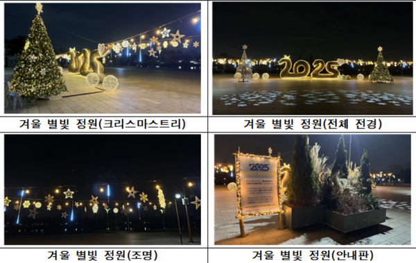 서울시, 시민 참여로 완성된 억새뱀 전시 & 겨울 별빛 정원 운영