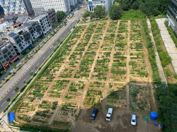 구리시, '행복 팜팜(farm farm)!도시농부 체험텃밭' 도시농부 모집