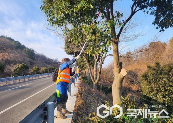 사천시, 2025 사천방문의 해 맞이 가로수·녹지대 경관 정비