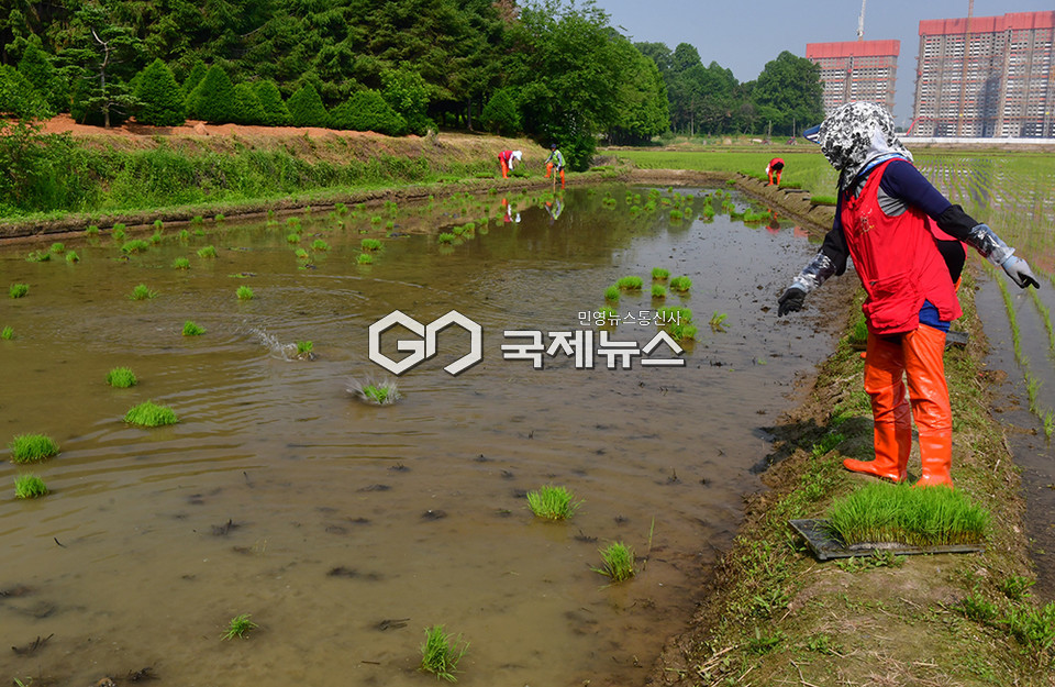 [국제포토] 자연과 생태 공존 공간 & 모내기 체험