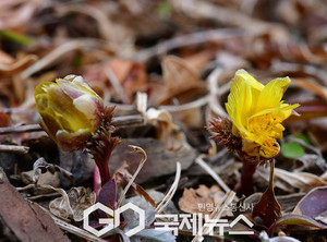 [날씨] 경남권, 오후부터 '비 또는 눈'→모레까지 초속 18m/s 강풍