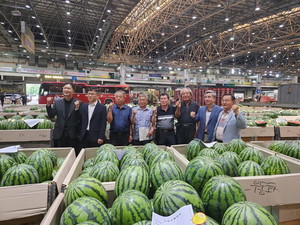 명품 양구 수박, 강서도매시장에서 2025년 초매식 개최